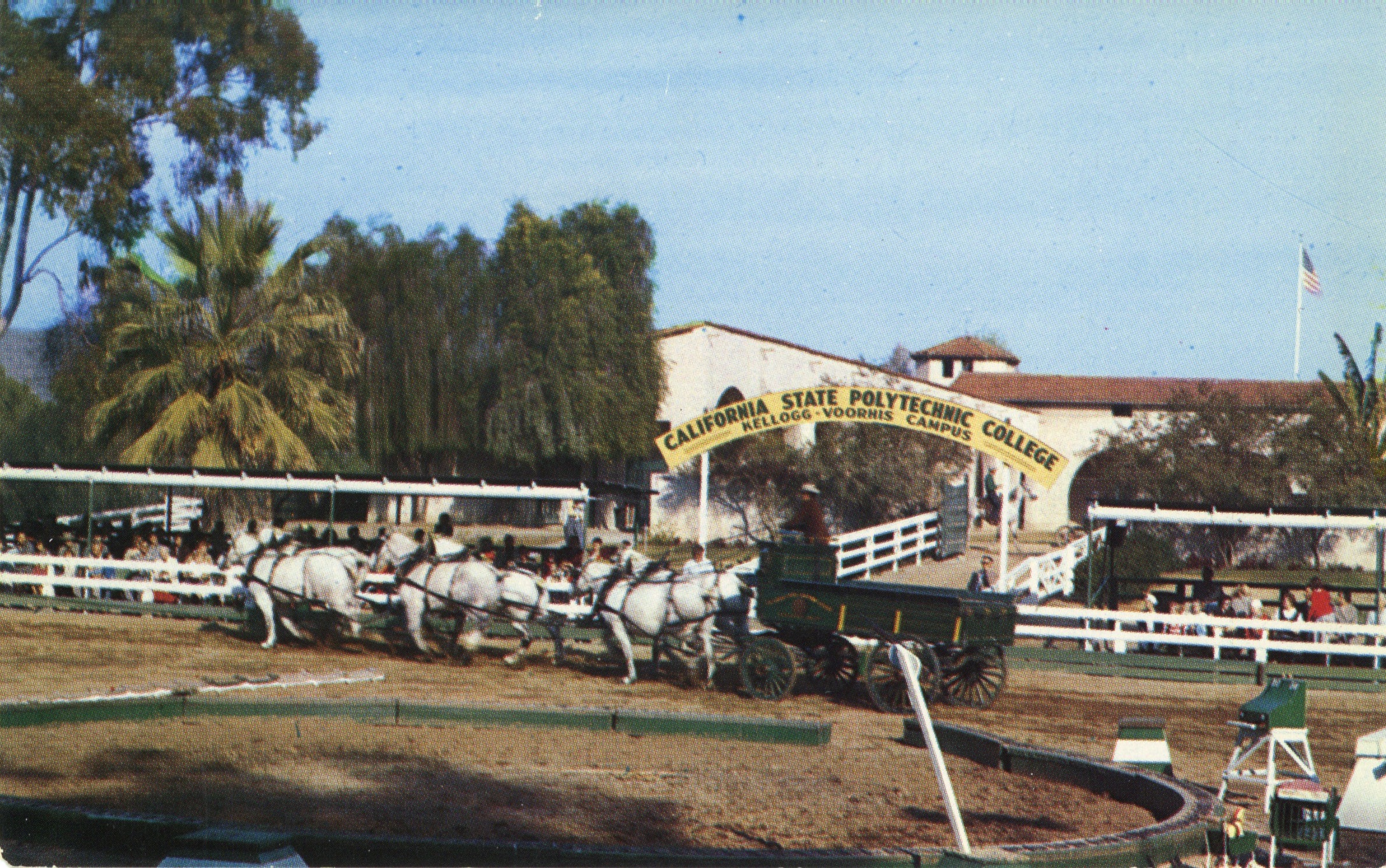 Horse Library